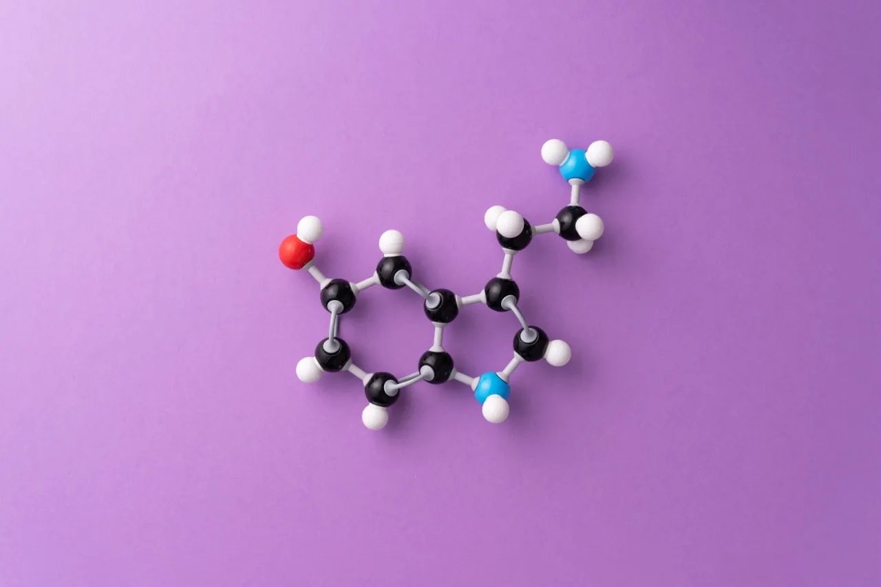 Fatos sobre a Serotonina: O que faz a Serotonina? - Clínica Dr. Hong ...