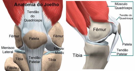 O Que é E Como Tratar Condromalácia Patelar Centro De Dor